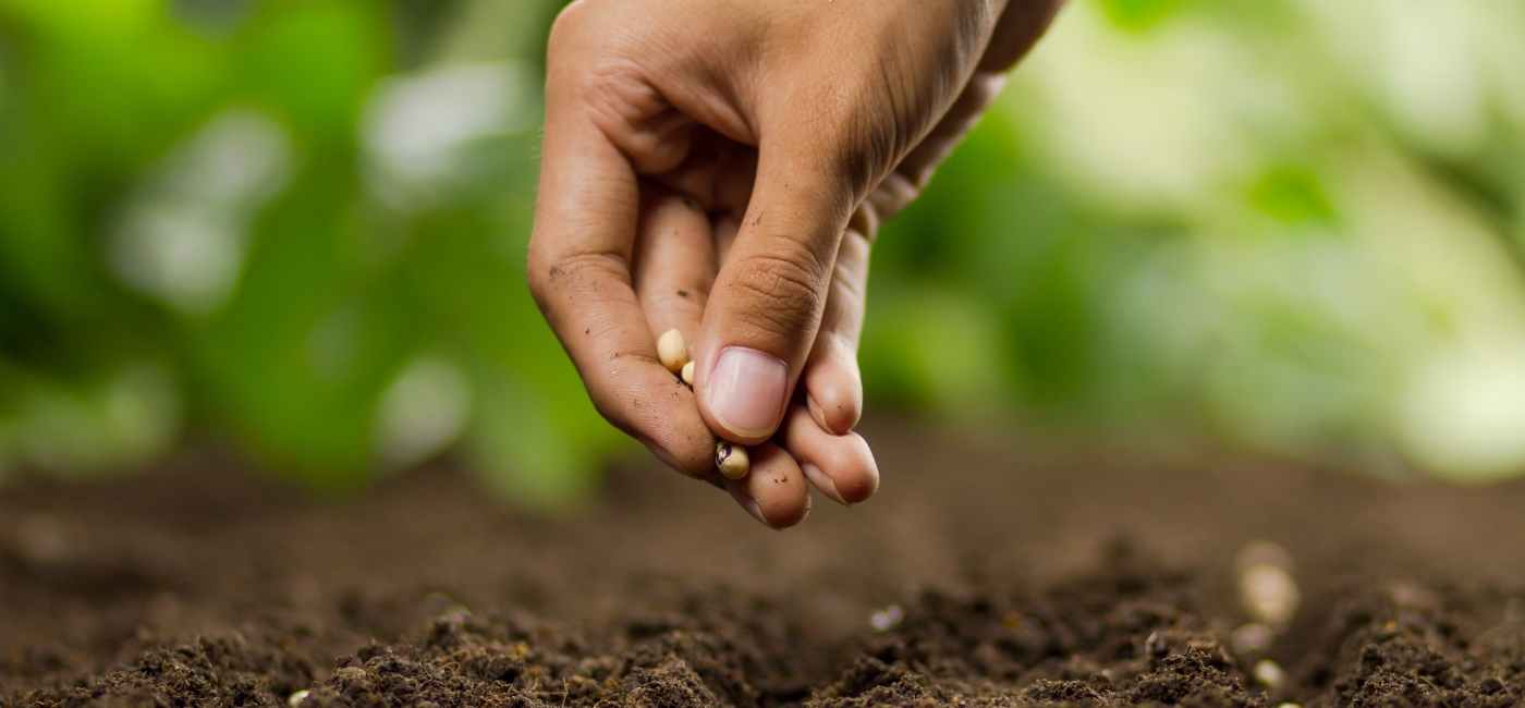 The Benefits of Seed Coating with Superabsorbent Polymers | Greener ...